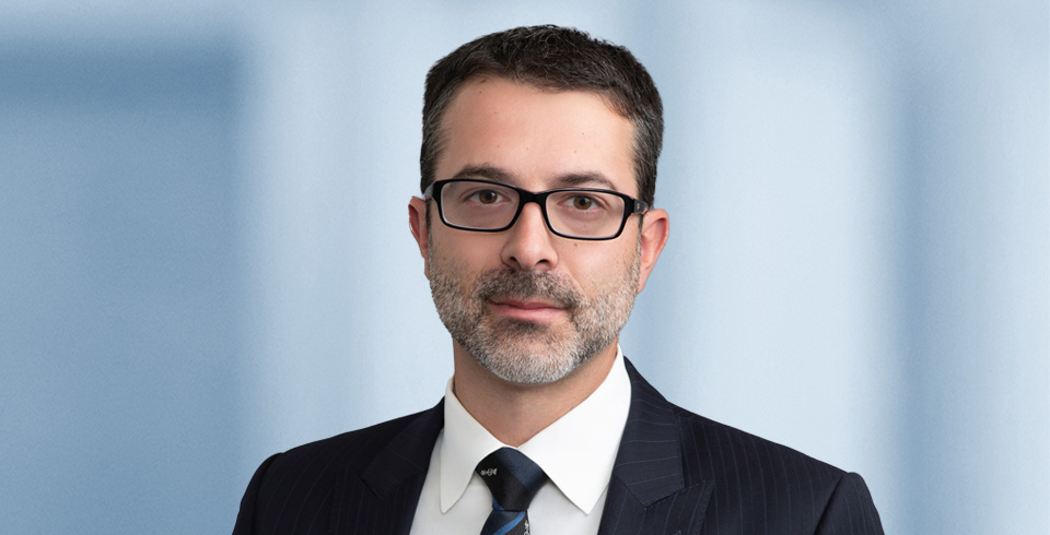 Biography | David D. Rodrigues